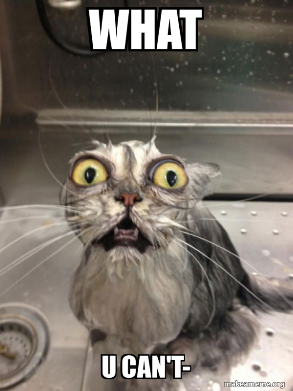 What U can't- - Cat bath Meme Generator