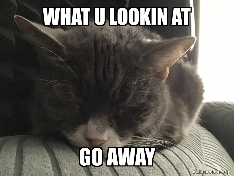 What u lookin at Go away Meme Generator