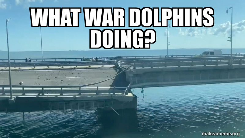 What war dolphins doing? Meme Generator