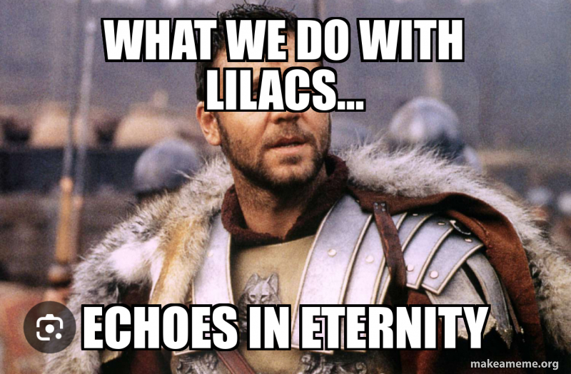 What we do with lilacs… Echoes in eternity Meme Generator