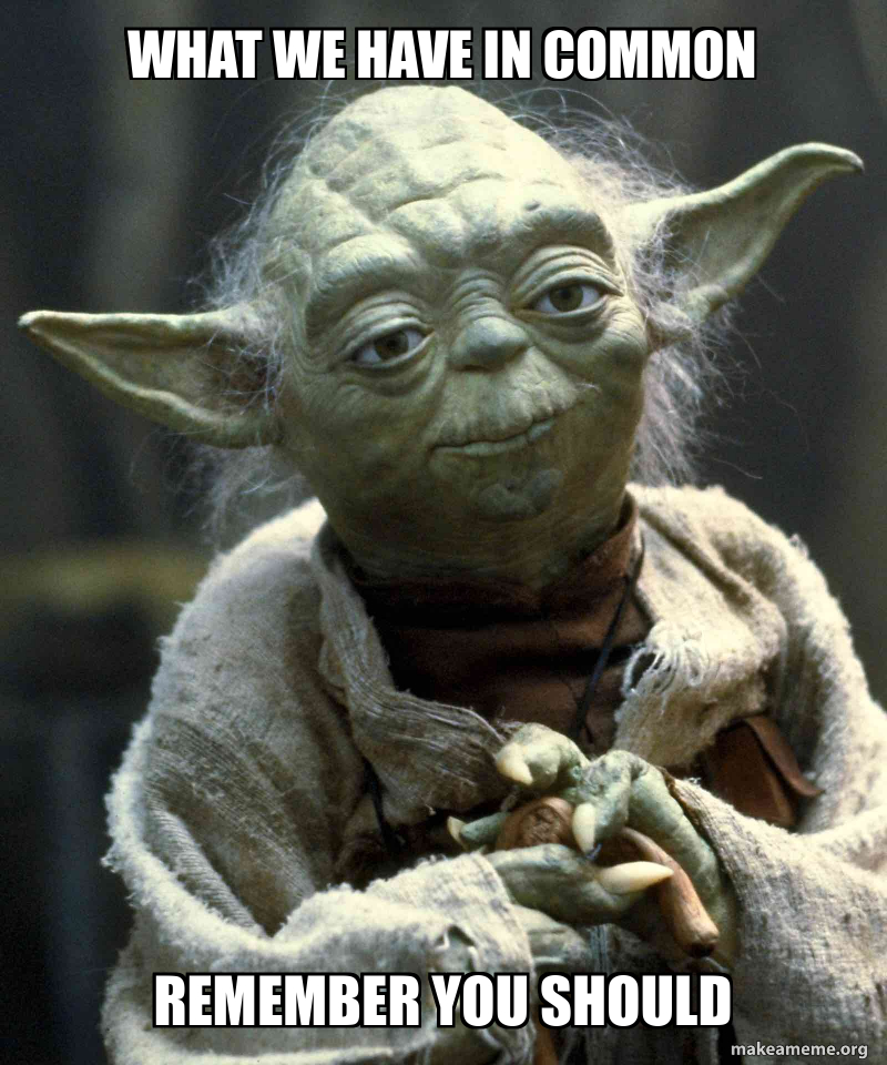 what we have in common remember you should Meme Generator