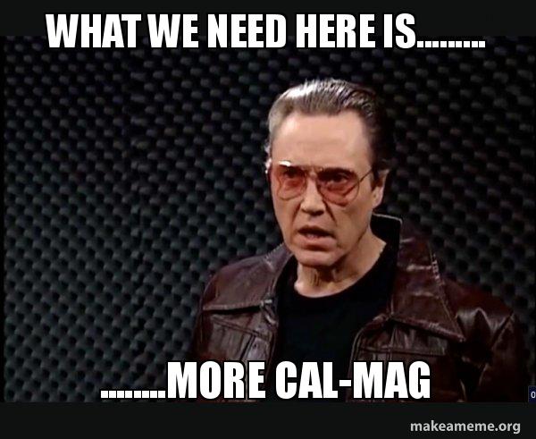 What we need here is......... ........more Cal-Mag - SNL - More Cowbell ...