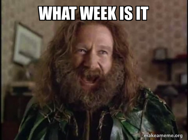 WHAT WEEK IS IT - Robin Williams - What year is it? Jumanji Meme Generator