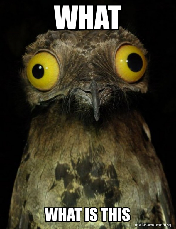 what WHAT IS THIS - Weird Stuff I do Potoo Meme Generator