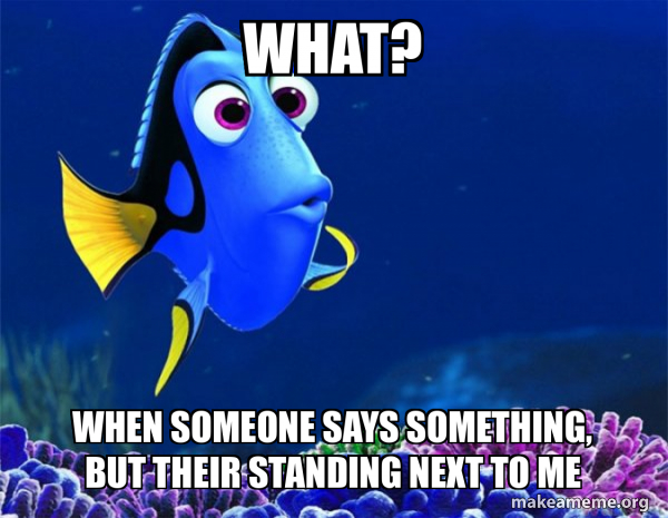 what? when someone says something, but their standing next to me - Dory ...