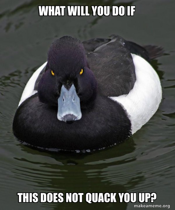 What will you do if This does not quack you up? - Revenge Duck ( Angry ...