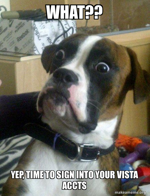 What?? Yep, time to sign into your vista accts - Skeptical Dog Meme ...