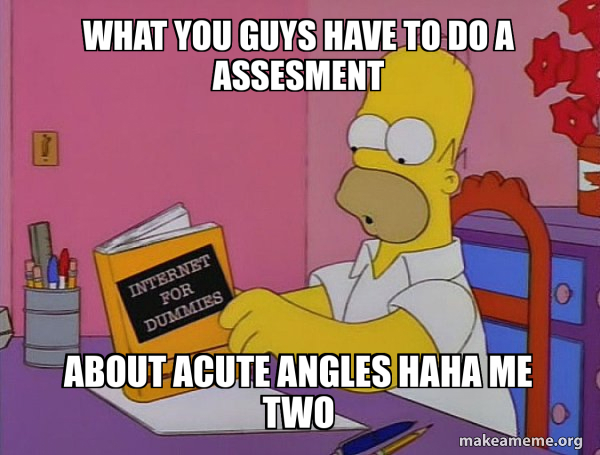 what you guys have to do a assesment about acute angles haha me two ...