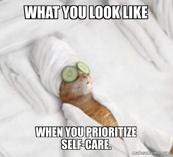 What you look like when you prioritize self-care. - Pampered Cat Meme ...