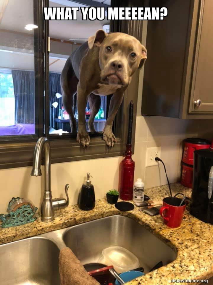 What you meeeean? Meme Generator