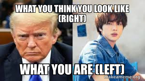 what you think you look like (right) What you are (left) Meme Generator