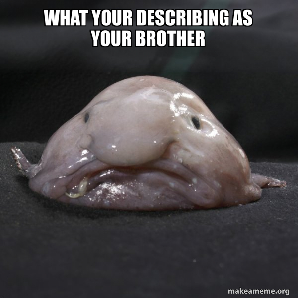 What your describing as your brother - Blobfish Meme Generator