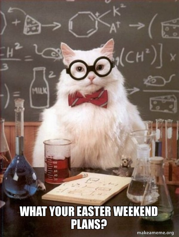 What your Easter weekend plans? - Chemistry Cat Meme Generator