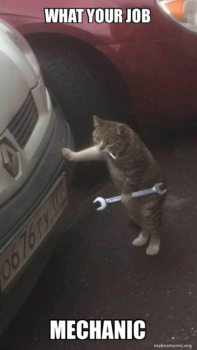 what your job mechanic - Mechanic Cat Meme Generator