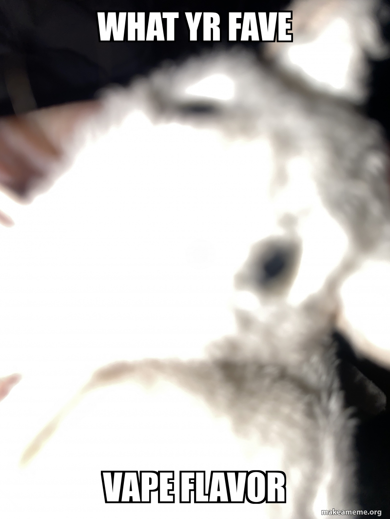 what yr fave vape flavor Meme Generator