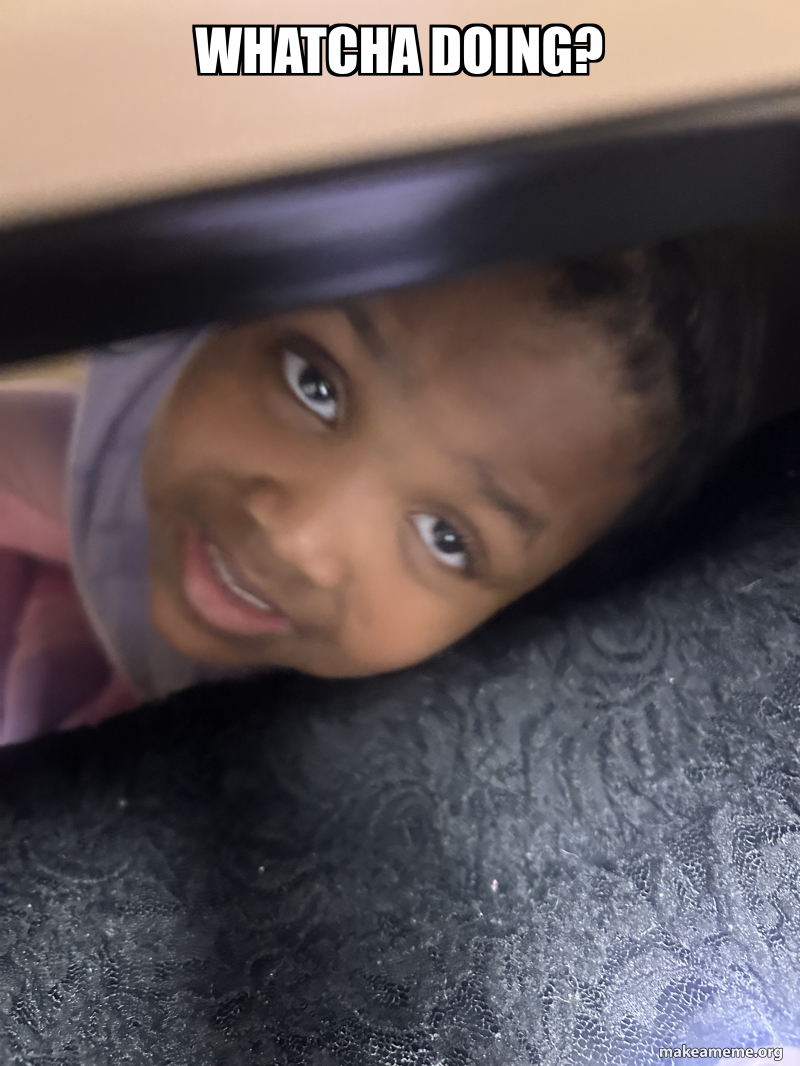 WHATCHA DOING? Meme Generator