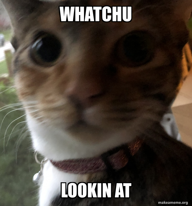 whatchu lookin at Meme Generator