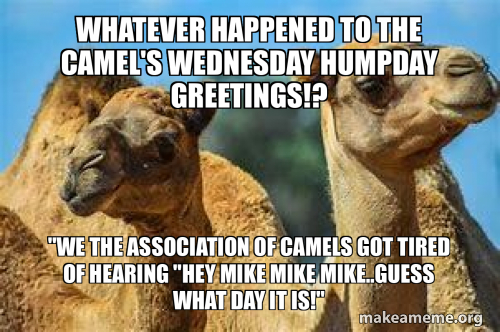 whatever happened to the camel's wednesday humpday greetings!? "We the ...