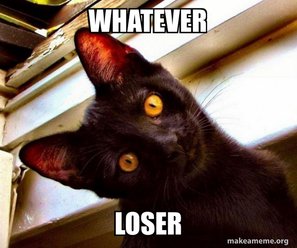 Whatever Loser - Overly Attached Cat | Make a Meme
