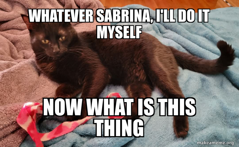 Whatever Sabrina, I'll do it myself Now what is this thing Meme Generator