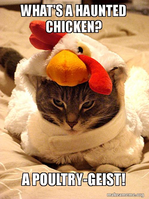 What's a haunted chicken? A poultry-geist! Meme Generator