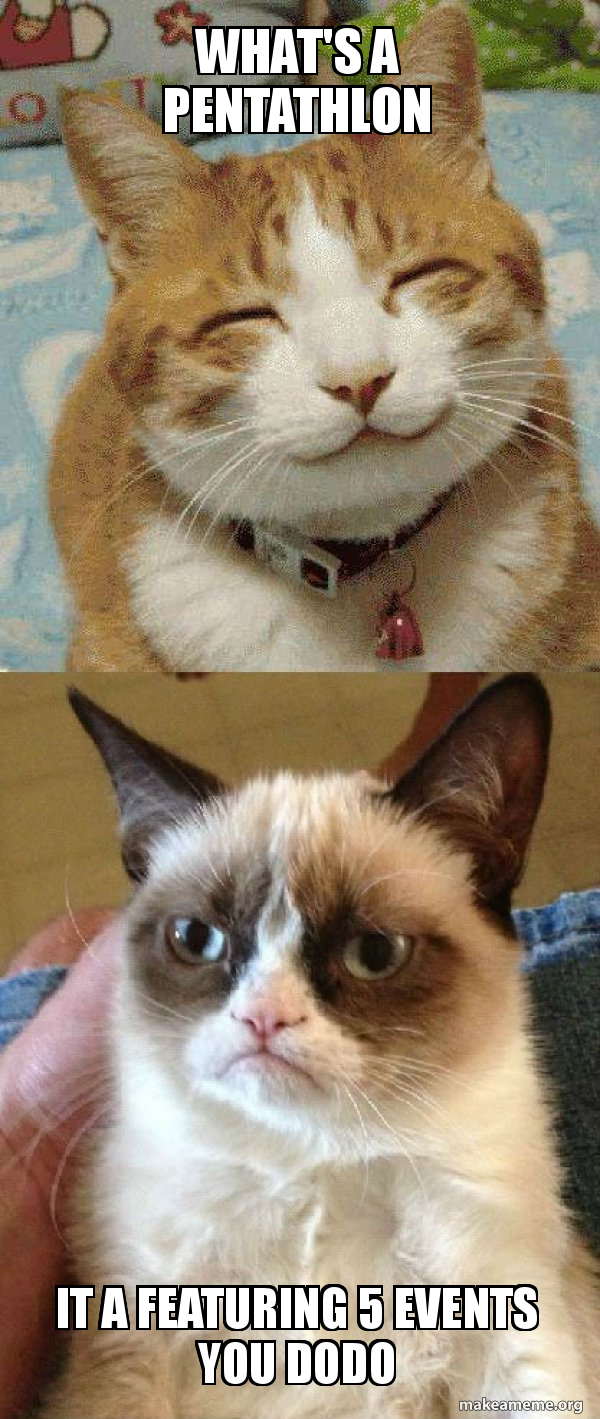 Festival Cat Memes When I Get Invited To A Social Event Grumpy Cat