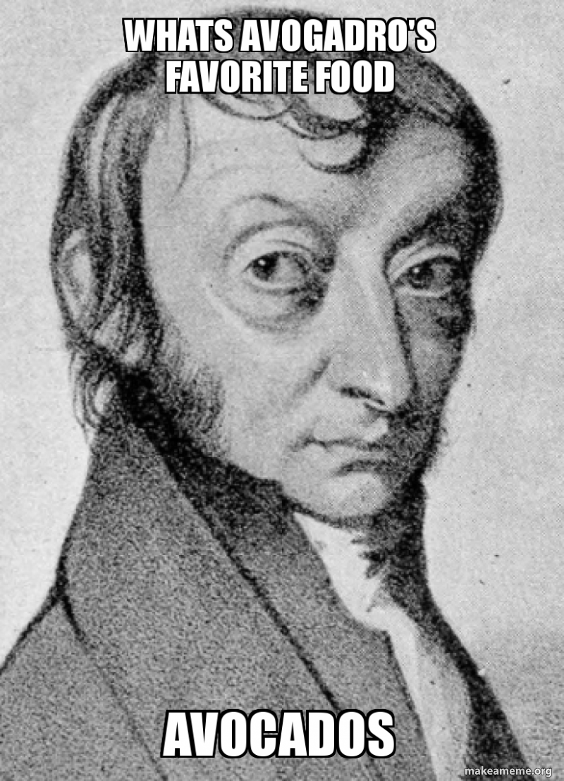 whats Avogadro's favorite food avocados Meme Generator