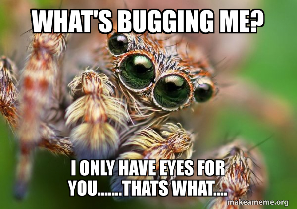 What's bugging me? I only have eyes for you.......thats what ...