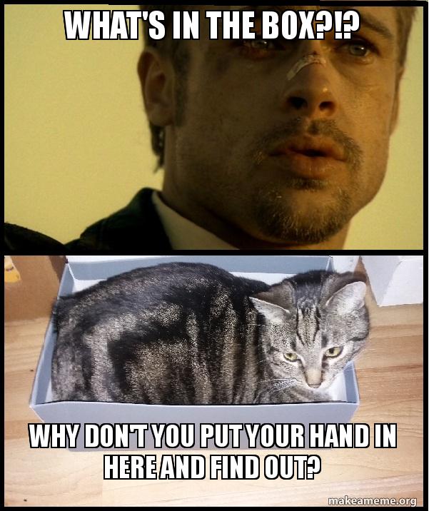 What's in the BOX?!? Why don't you put your hand in here and find out ...