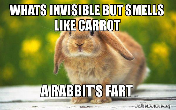 Whats invisible but smells like carrot A rabbit's fart - Regretful ...