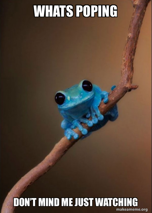 Whats poping Don’t mind me just watching - Small Fact Frog Meme Generator