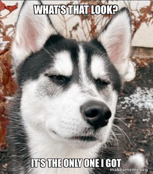 what's that look? it's the only one I got Meme Generator