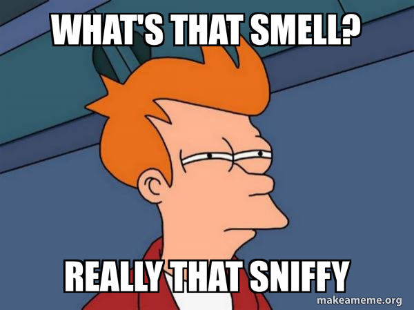 What's that smell? Really that sniffy - Futurama Fry Meme Generator