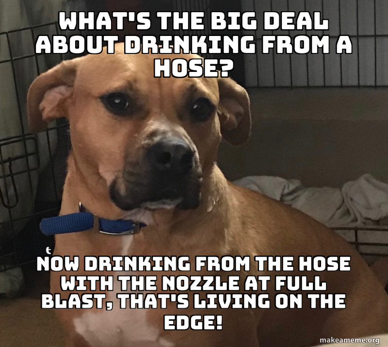 what's the Big deal about drinking from a hose? Now drinking from the ...