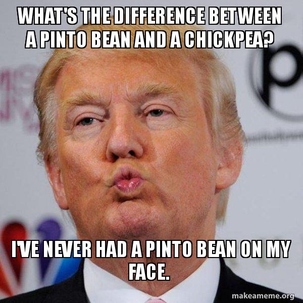 What's the difference between a pinto bean and a chickpea? I've never ...