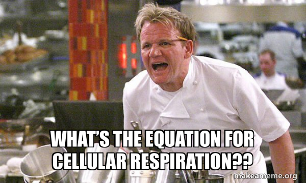 What’s the equation for cellular respiration?? - Gordon Ramsay Hell's ...
