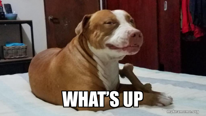 Whatâ€™s up Meme Generator