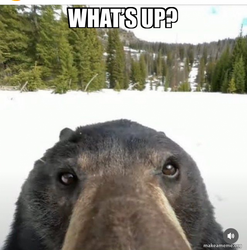 What’s up? Meme Generator