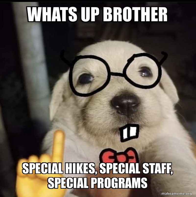 whats up brother special hikes, special Staff, Special Programs Meme ...