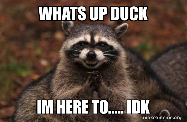 whats up duck im here to..... idk - Evil Plotting Raccoon Meme Generator