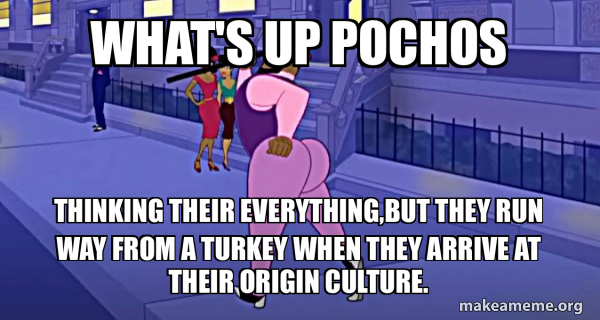 What's up pochos Thinking their everything,but they run way from a ...