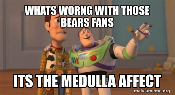 whats worng with those bears fans its the medulla affect - Buzz and ...
