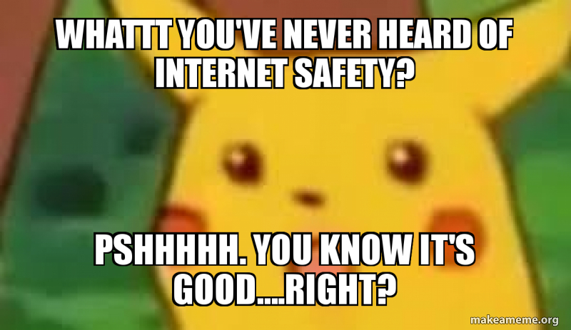 whattt you've never heard of internet safety? pshhhhh. you know it's ...