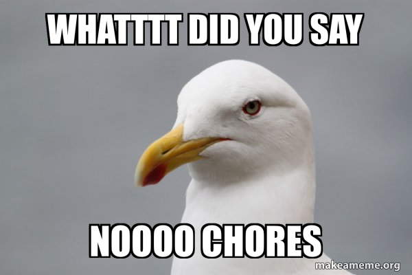 whatttt did you say Noooo chores - Stuff That Didn't Happen Seagull ...
