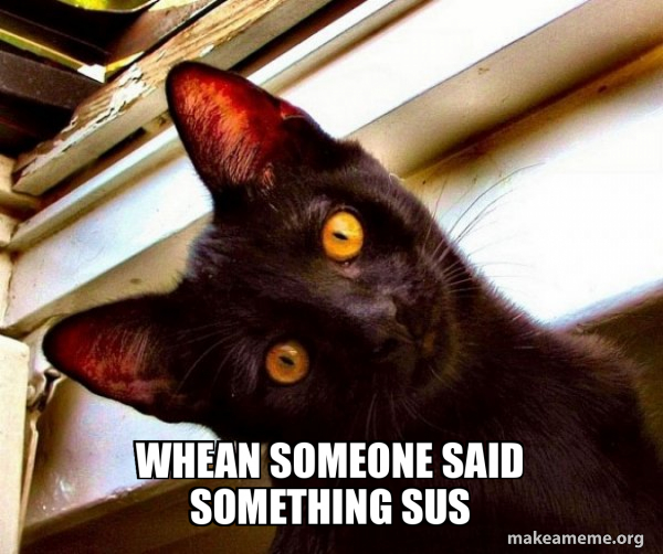 whean someone said something sus - Overly Attached Cat Meme Generator