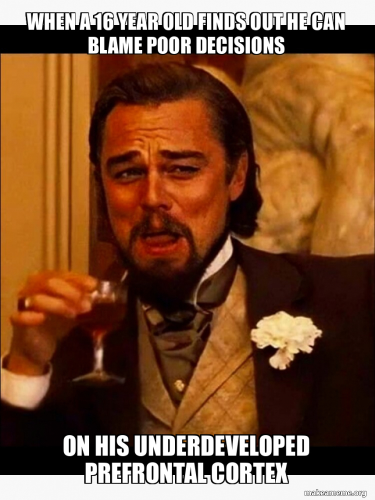 when a 16 year old finds out he can blame poor decisions on his ...