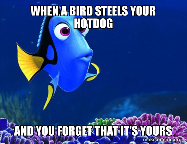 When a bird steels your hotdog and you forget that it's yours - Dory ...
