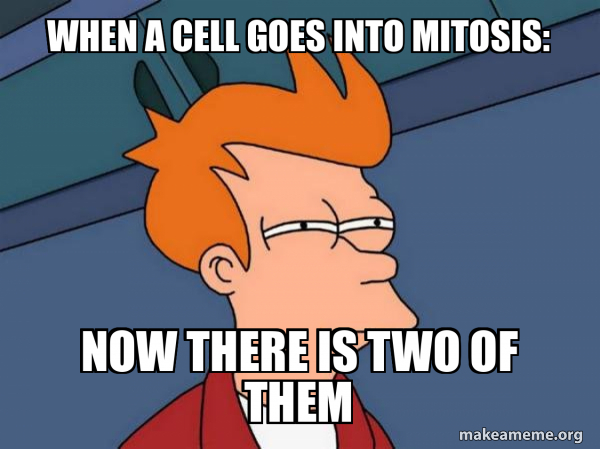 When a cell goes into mitosis: Now there is two of them - Futurama Fry ...