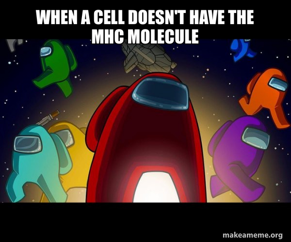 When a cell doesn't have the MHC molecule - Among Us Meme Generator
