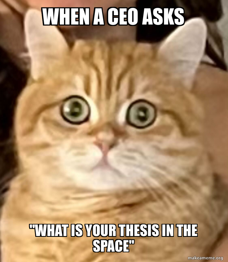 When A Ceo Asks What Is Your Thesis In The Space Meme Generator